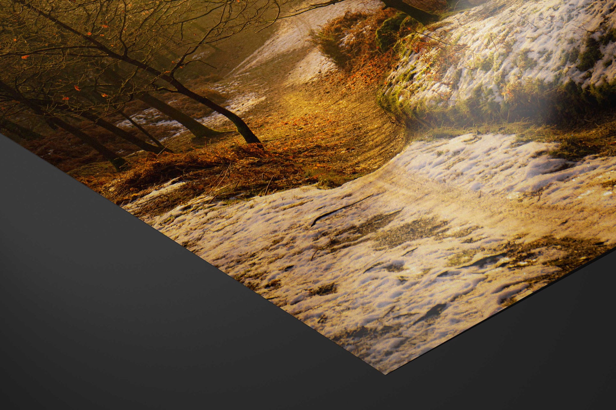 Cannock Chase Trails Art Print – TrailMaps