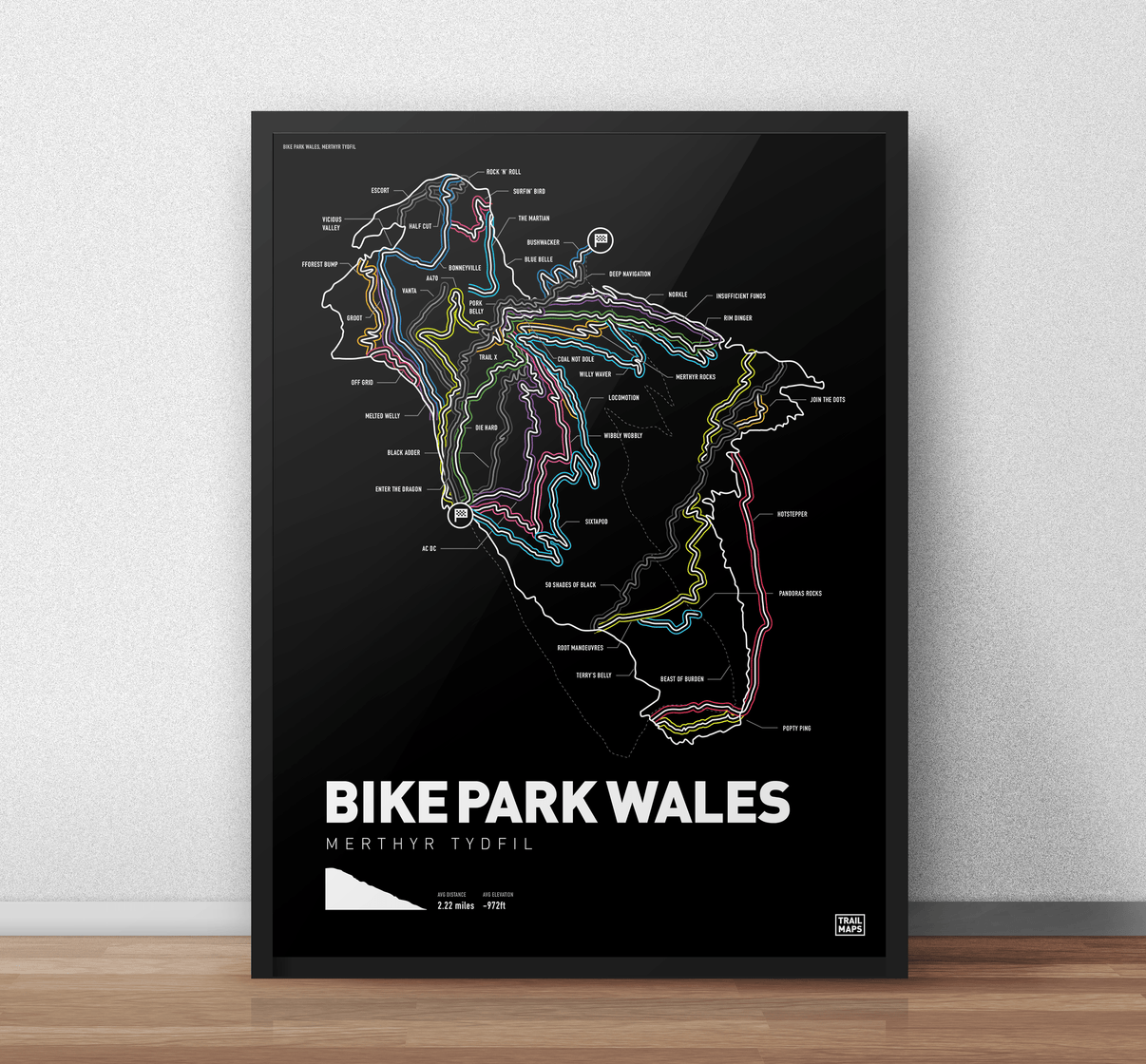 Bike Park Wales Art Print – TrailMaps